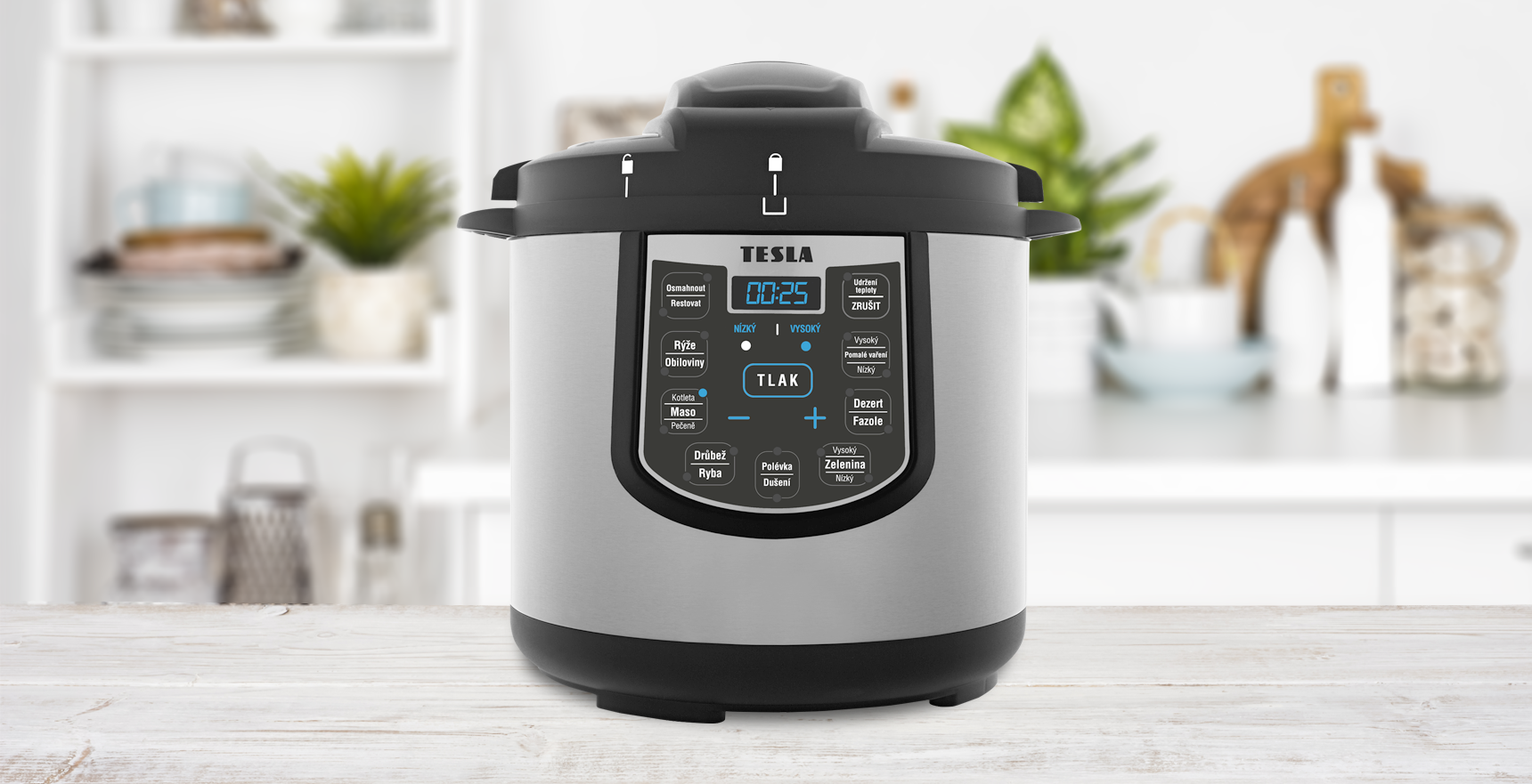 TESLA | TESLA – HAPPY HOUSEHOLD