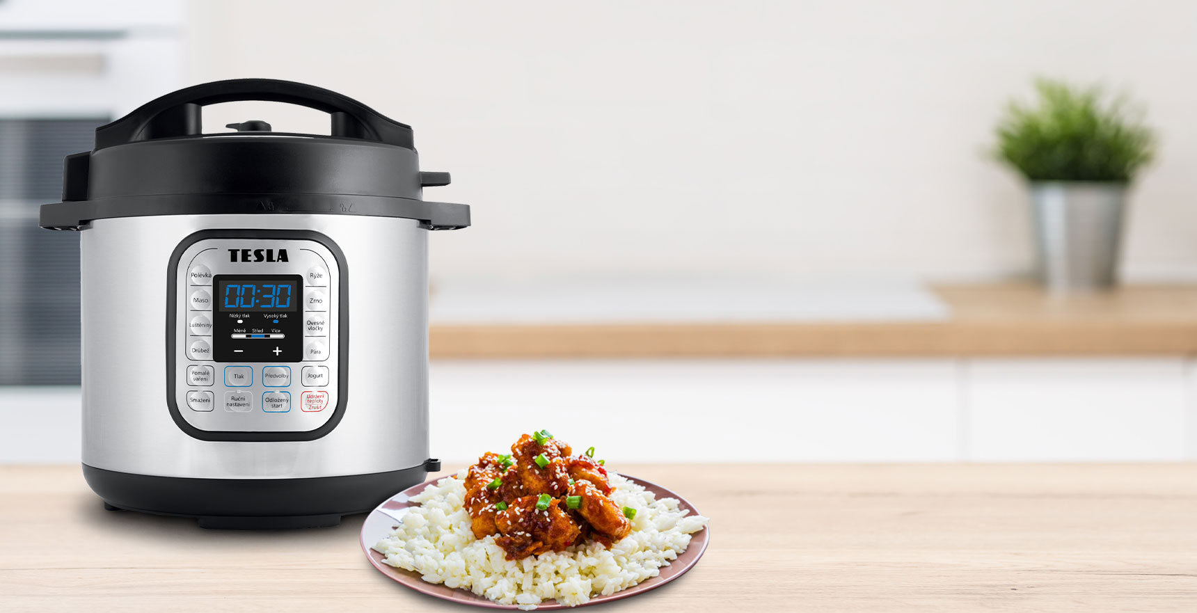 TESLA Electronics | Home & Kitchen Appliances